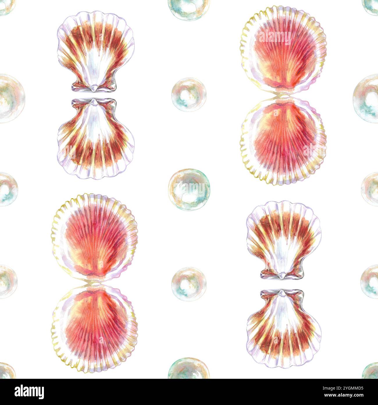 Pattern of scallop, bivalve marine mollusk, grooved shell with pearls ...