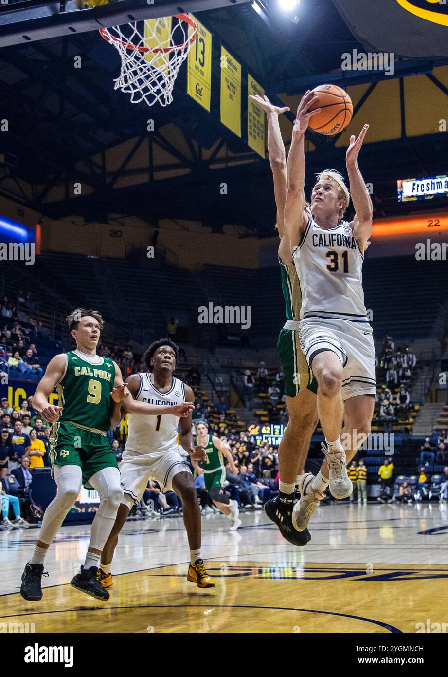 Haas Pavilion Berkeley Calif, USA. 07th Nov, 2024. CA U.S.A. California ...