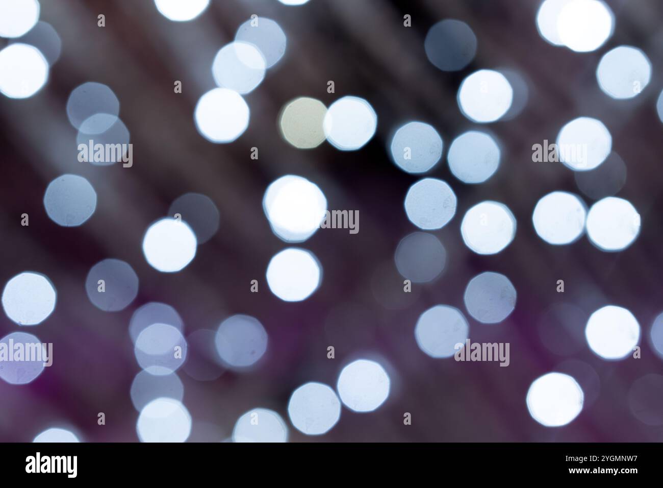 upscale high end, , christmas holiday backdrop blurry lights. festive ...