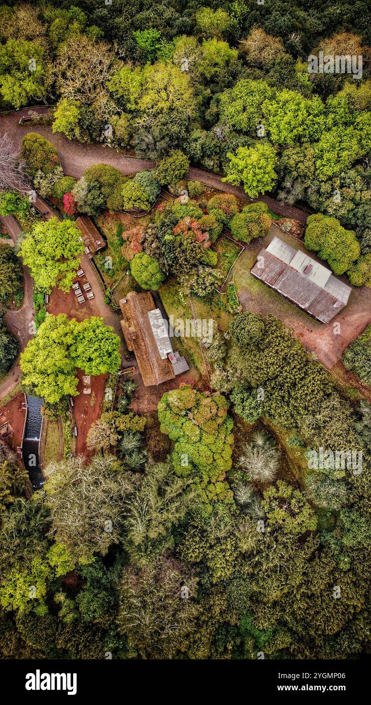 Sustainable green forest hi-res stock photography and images - Alamy