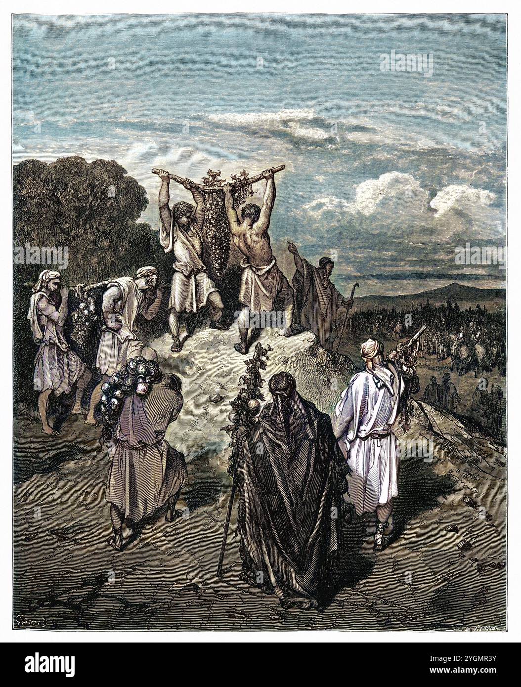 Return from the land of Canaan. The return of Joshua and Caleb with a ...