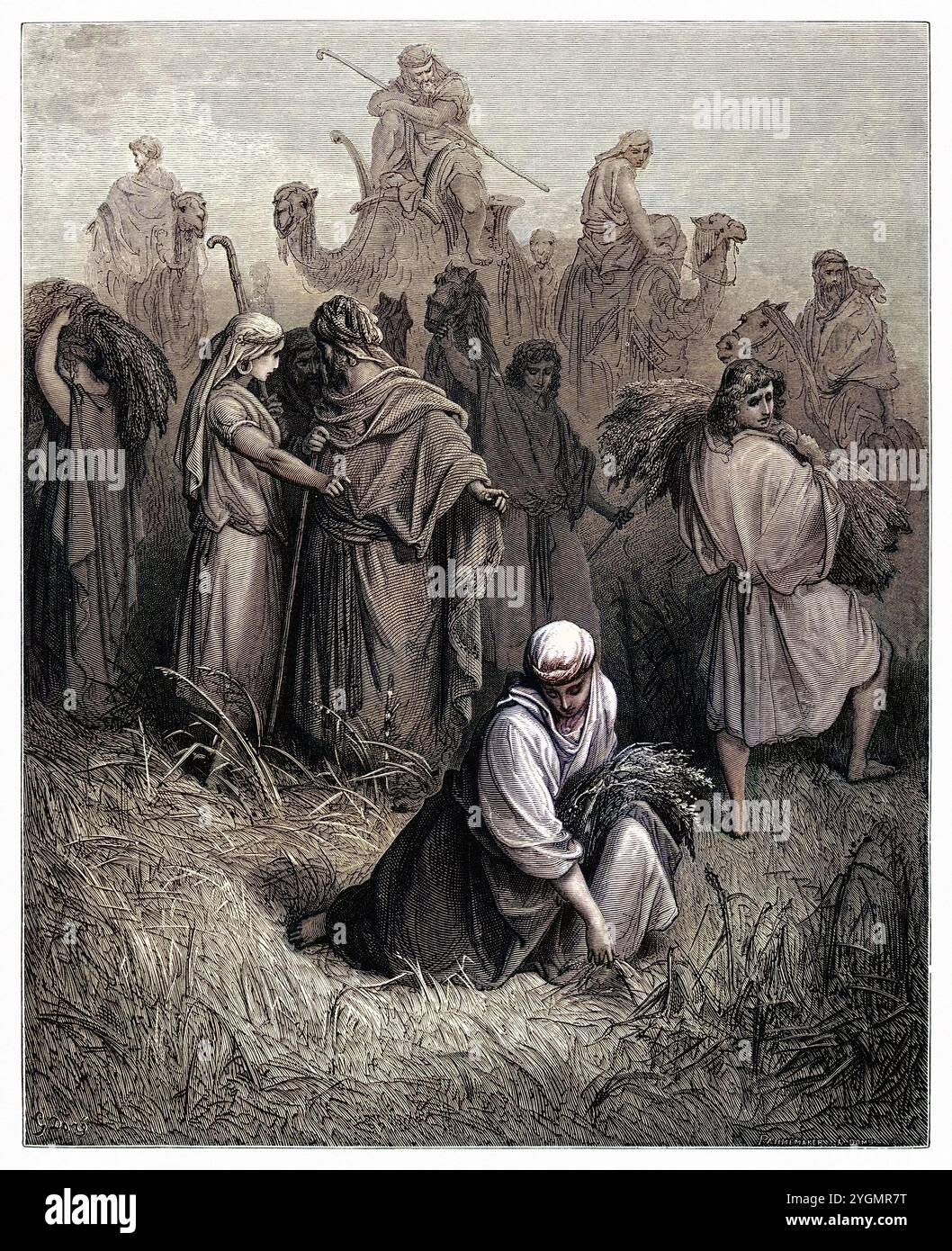 Boaz and Ruth. Boaz allows Ruth to gather grain in his fields during ...