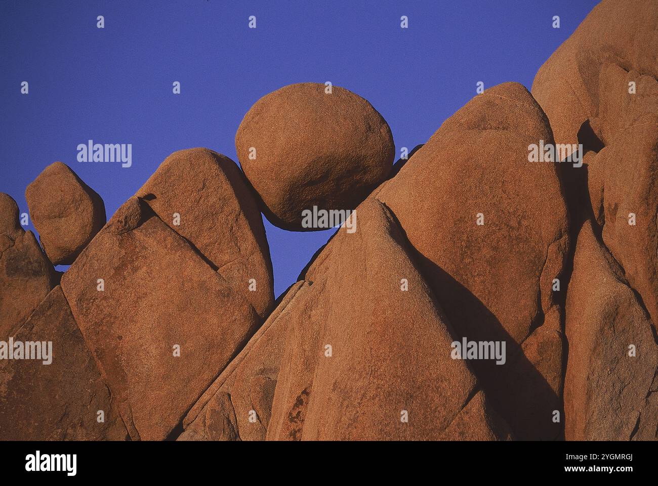 Jumbo brown hi-res stock photography and images - Alamy