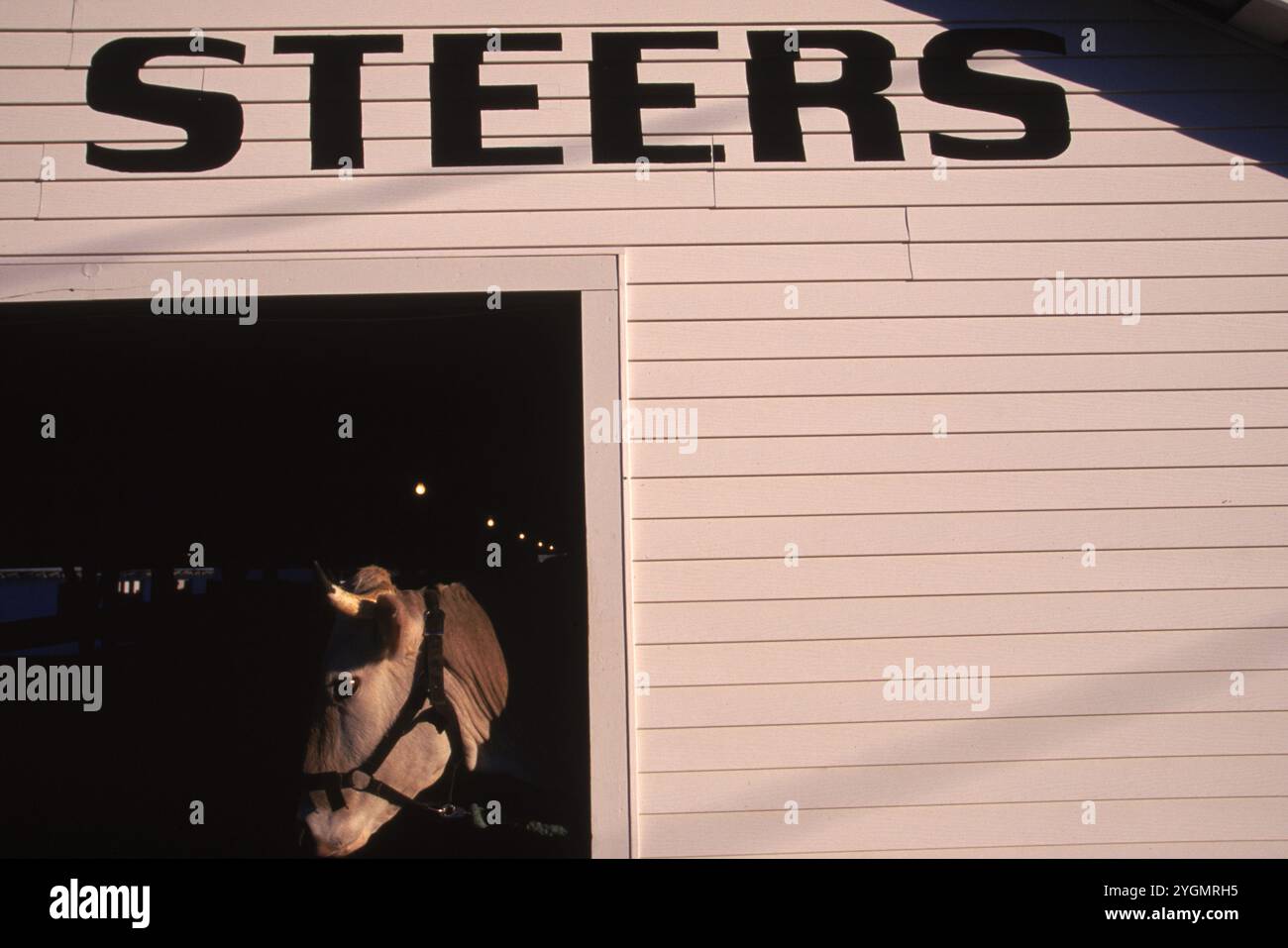Fryeburg Fair scene Stock Photo - Alamy