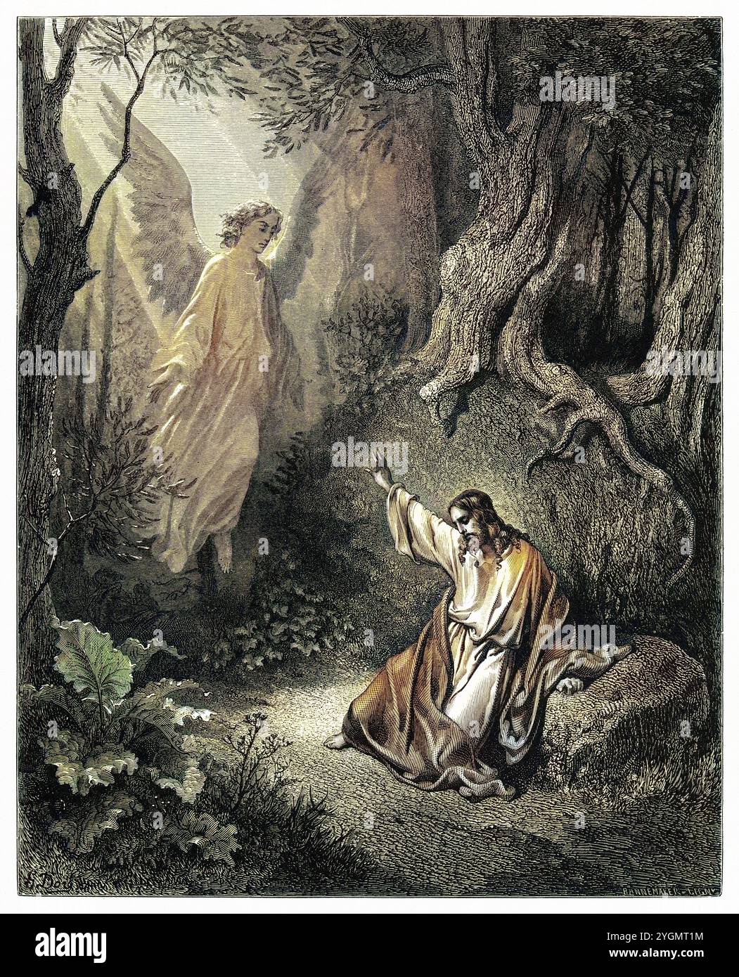 Jesus In The Garden Of Olives Jesus Praying In Gethsemane, San