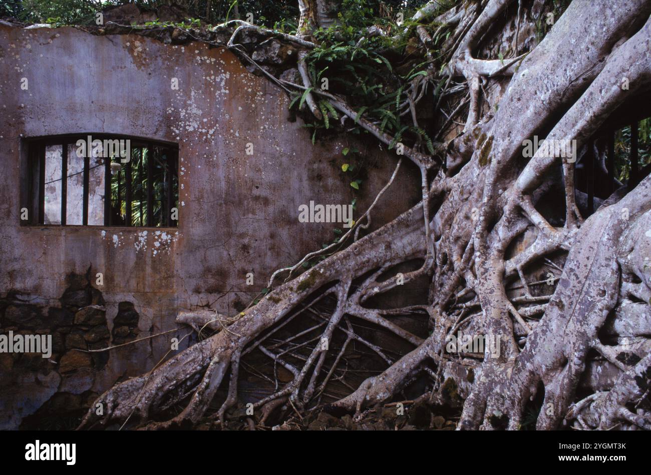French prison hi-res stock photography and images - Alamy