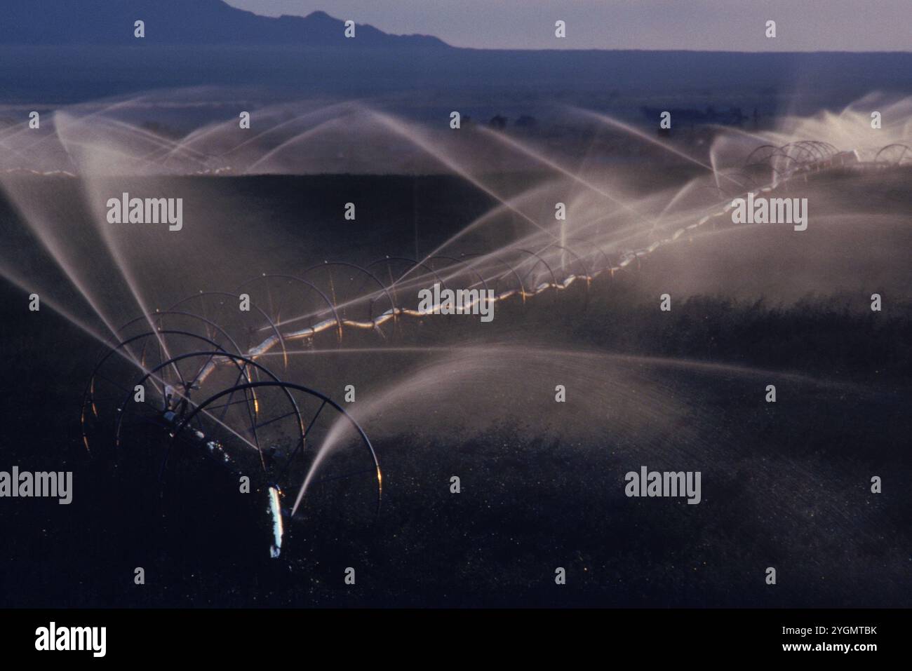 Watering farm arizona sprinkler hi-res stock photography and images - Alamy