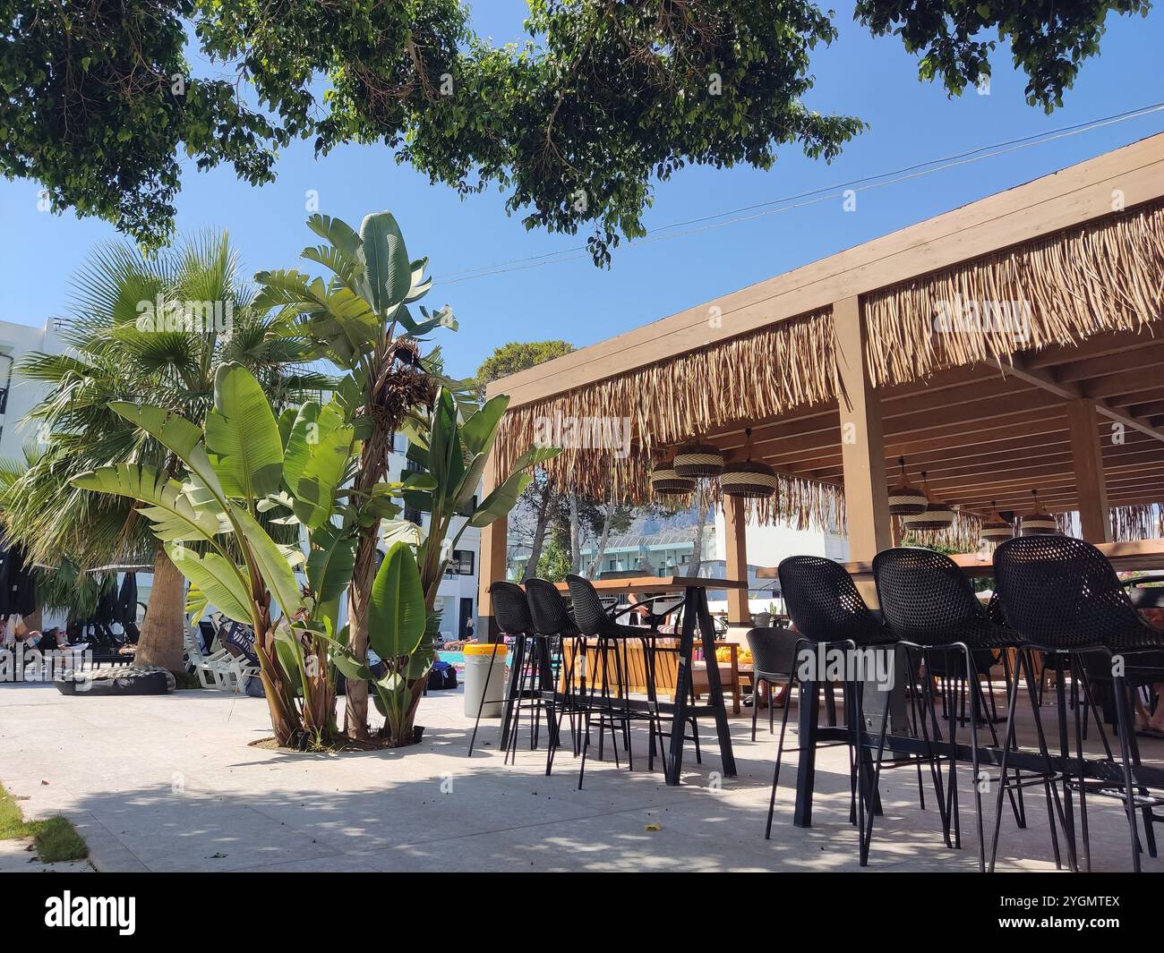 A charming Greek restaurant in the city of Hersonissos, Crete, Greece ...