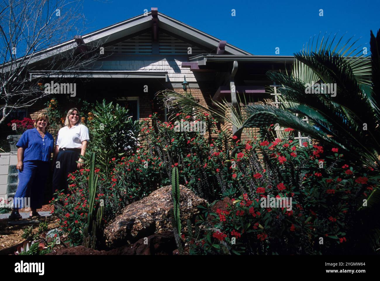 Certified yard of Cynthia Serra and Allison Butler with crown of thorns ...