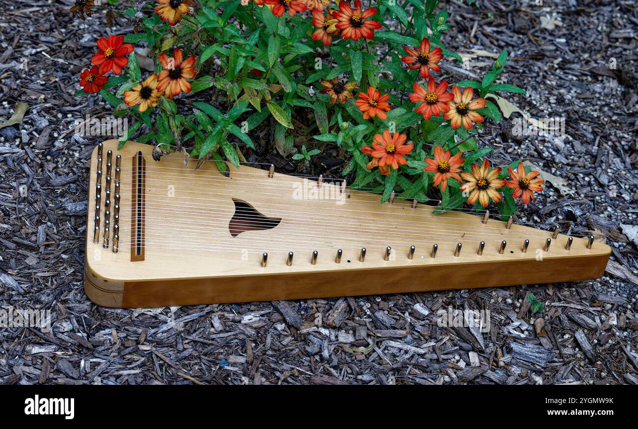 Psaltery hi-res stock photography and images - Alamy
