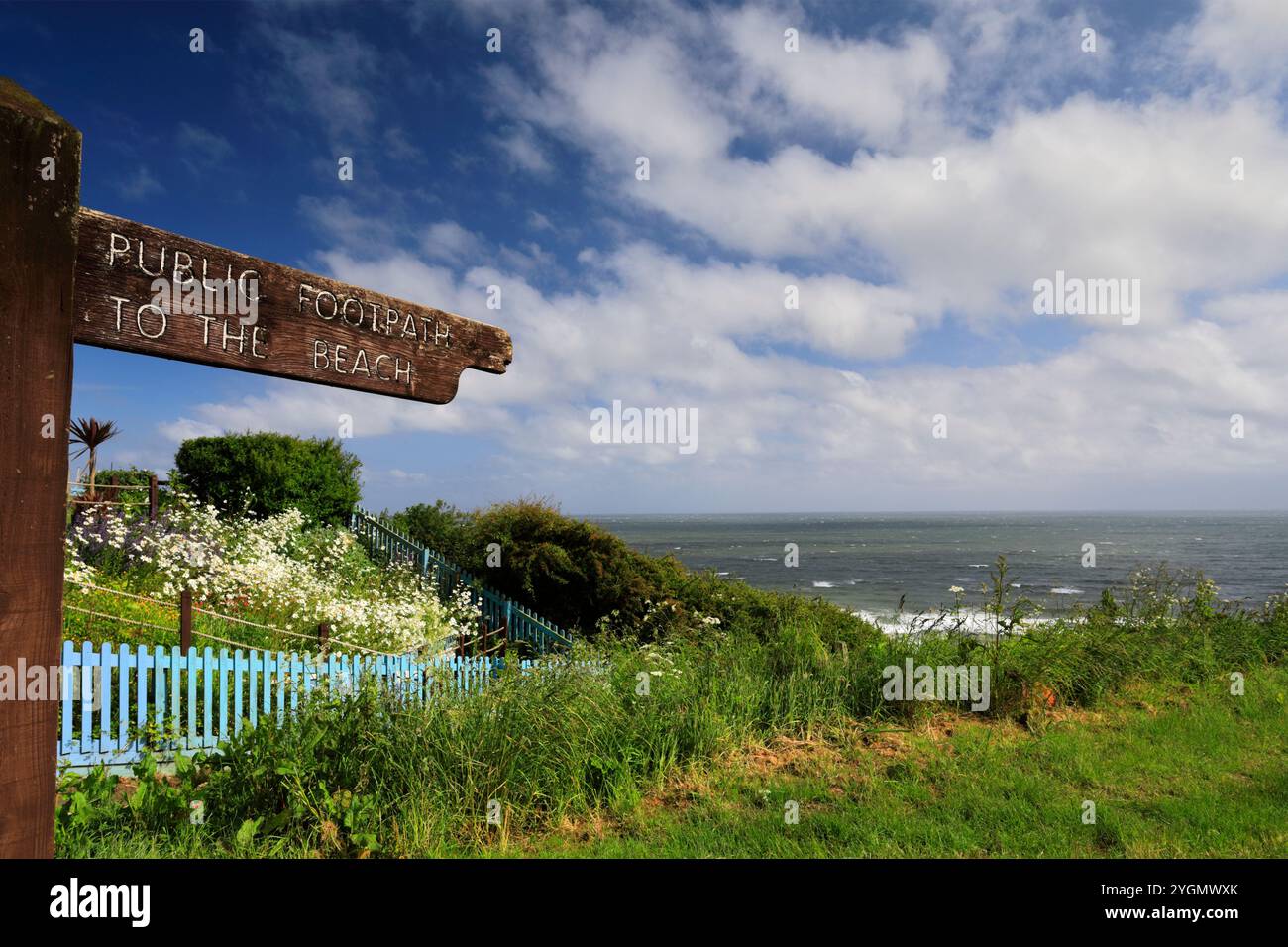 View over the coast from Reighton Sands towards Filey, North Yorkshire ...