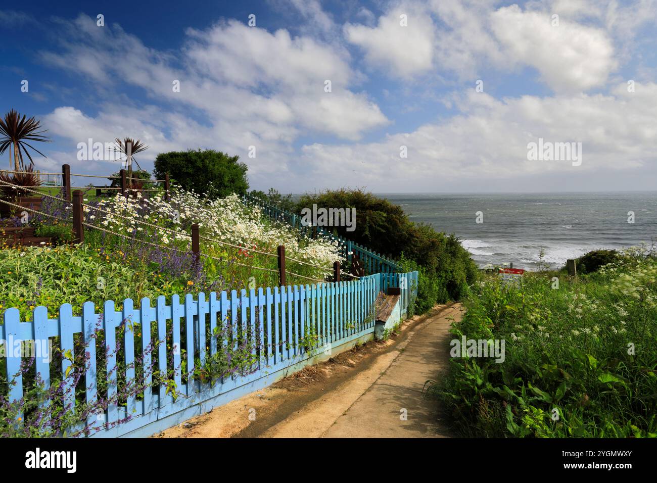 Reighton sands beach hi-res stock photography and images - Alamy