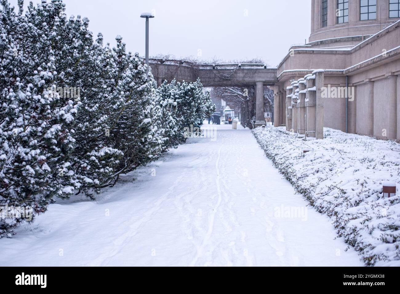 A snow-covered park near the Centennial Hall in Wrocław, Poland ...