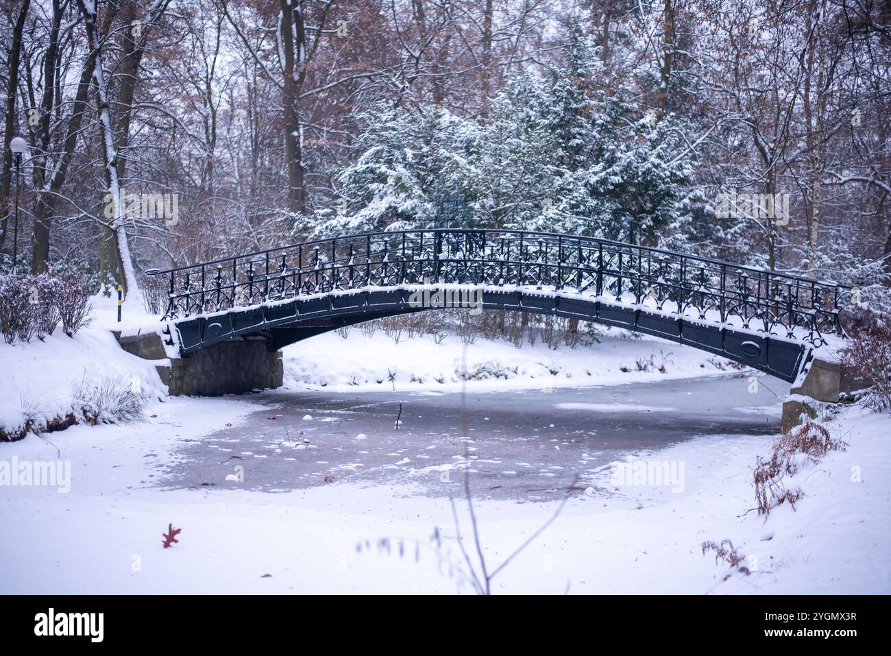 A snow-covered park near the Centennial Hall in Wrocław, Poland ...