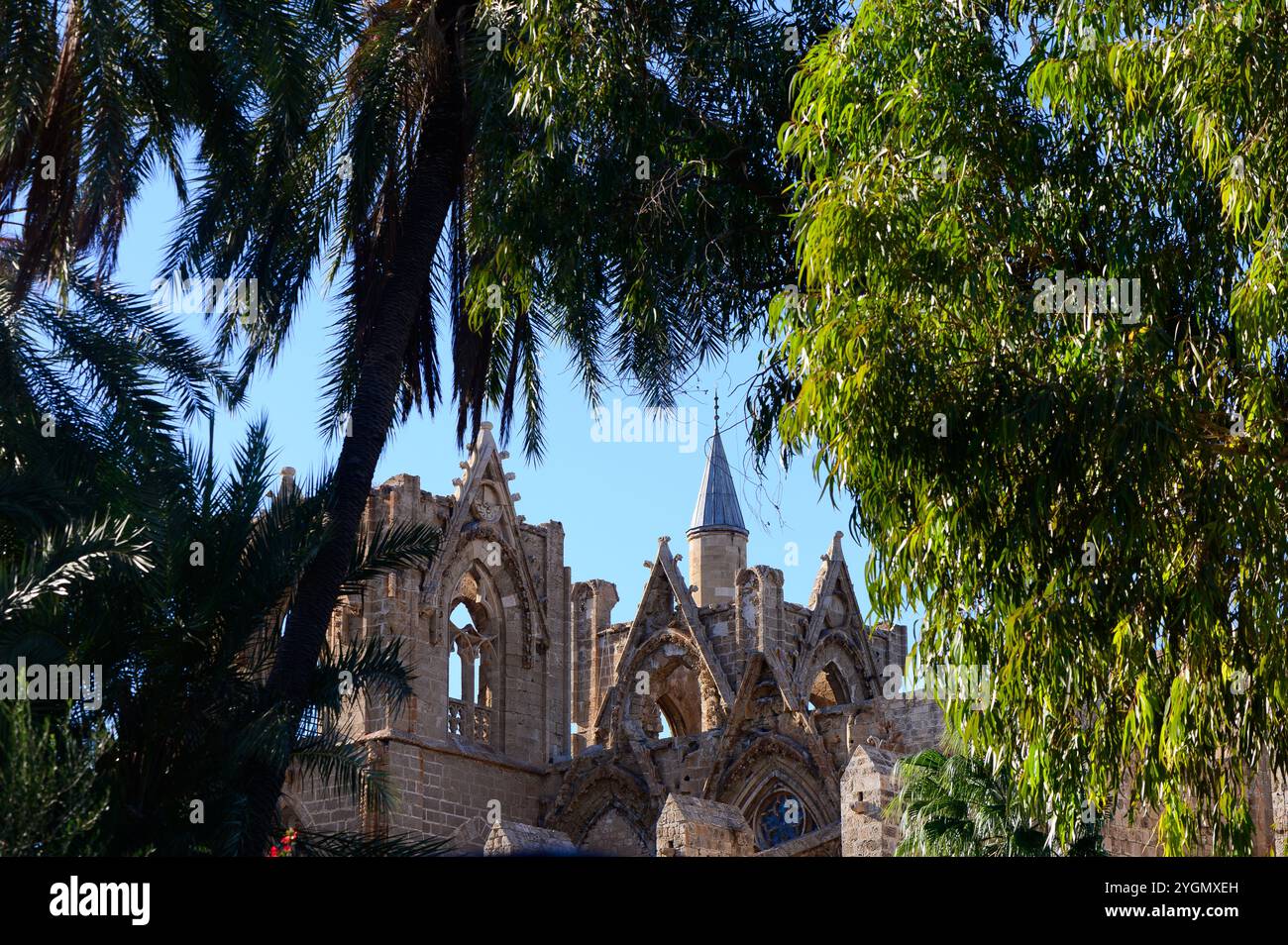 Ancient gothic structure emerges from vibrant greenery under a bright ...