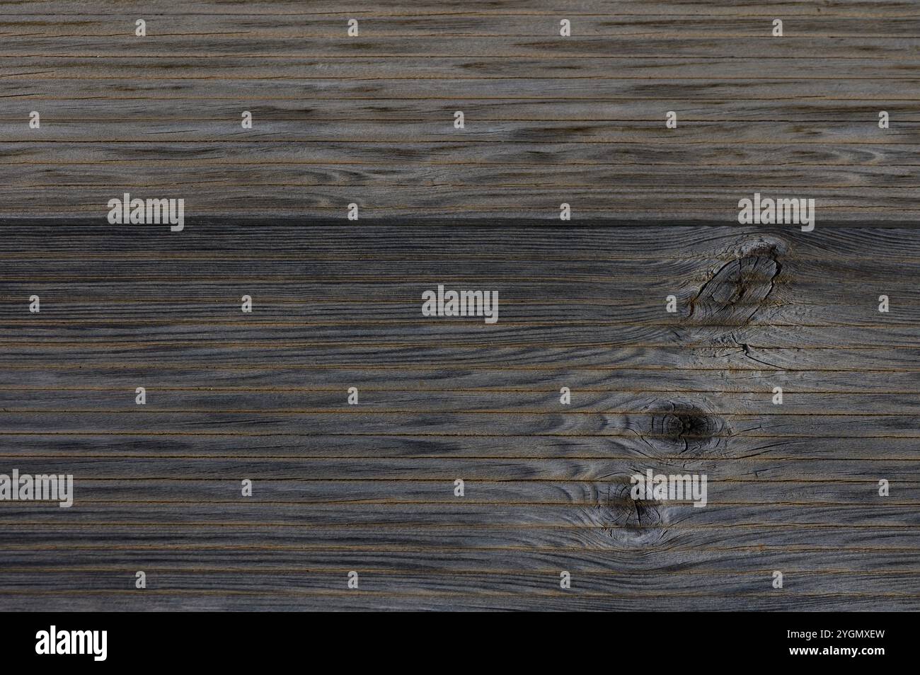 Timeliness elegance hi-res stock photography and images - Alamy