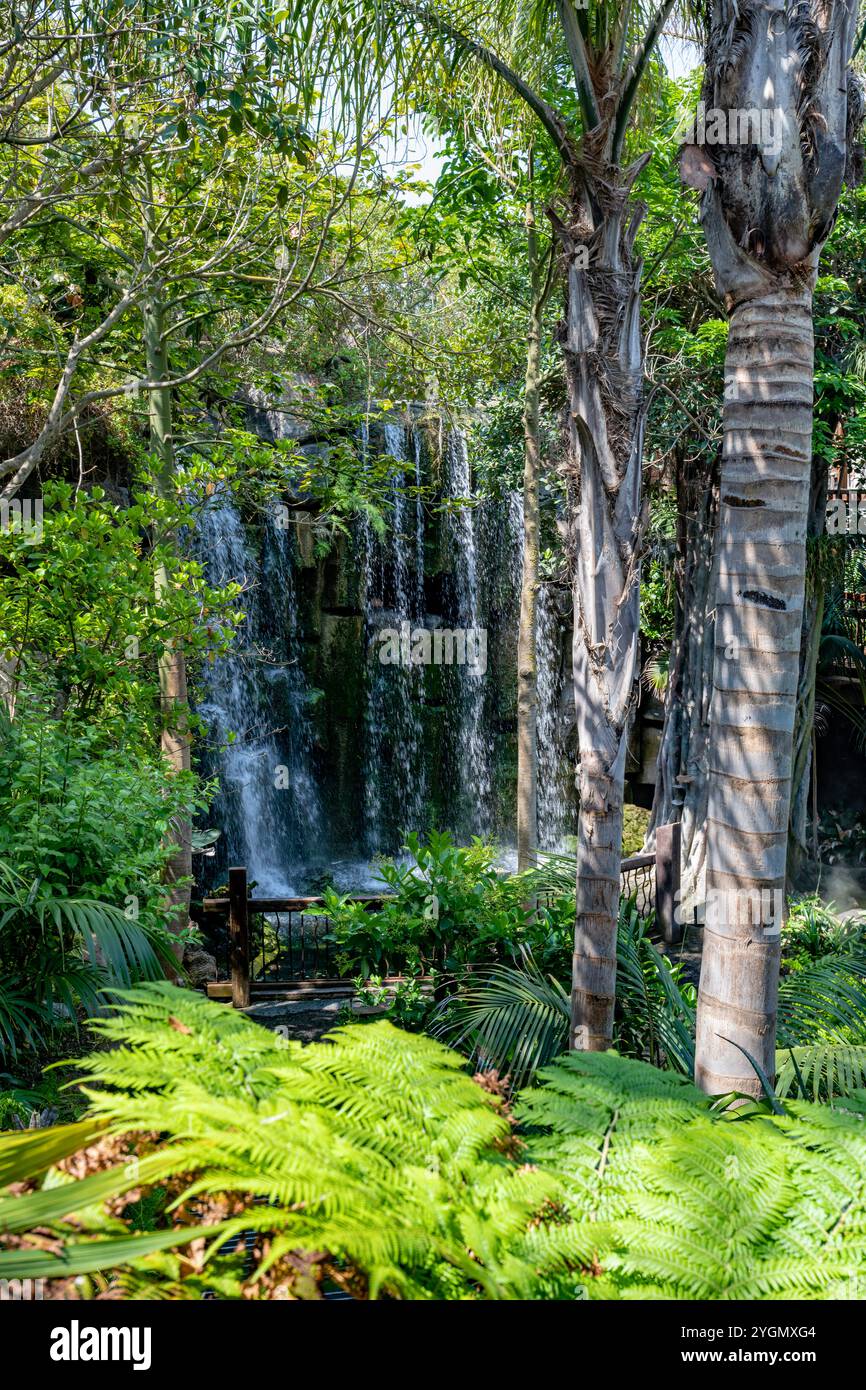Palma de Mallorca, Aquarium, waterfall surrounded by lush vegetation ...