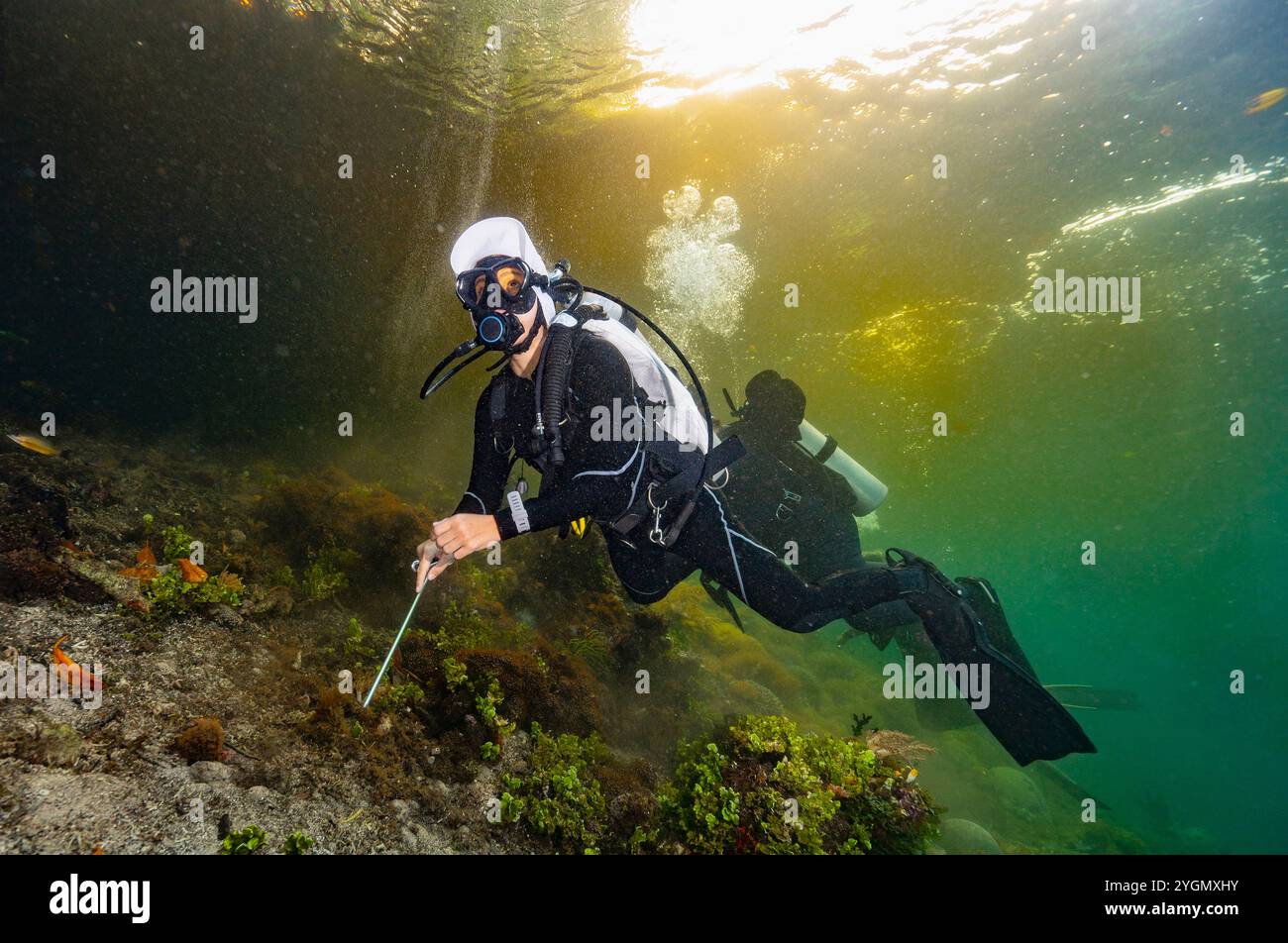 exploring the mangrove forest in Raja Ampat Stock Photo - Alamy