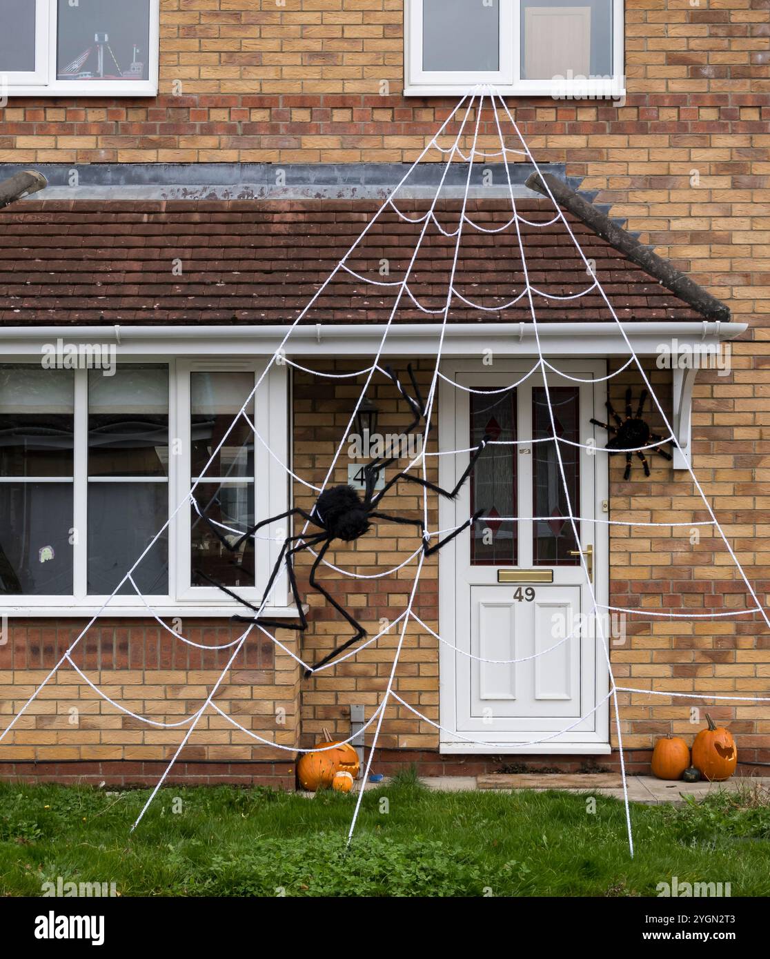 Big black spider on web Stock Photo - Alamy