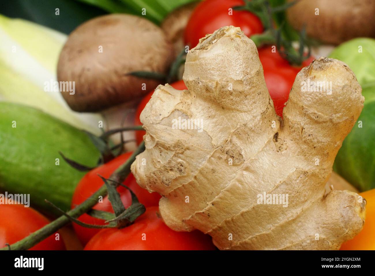 Super closeup of a ginger piece showing its beige texture and structure ...