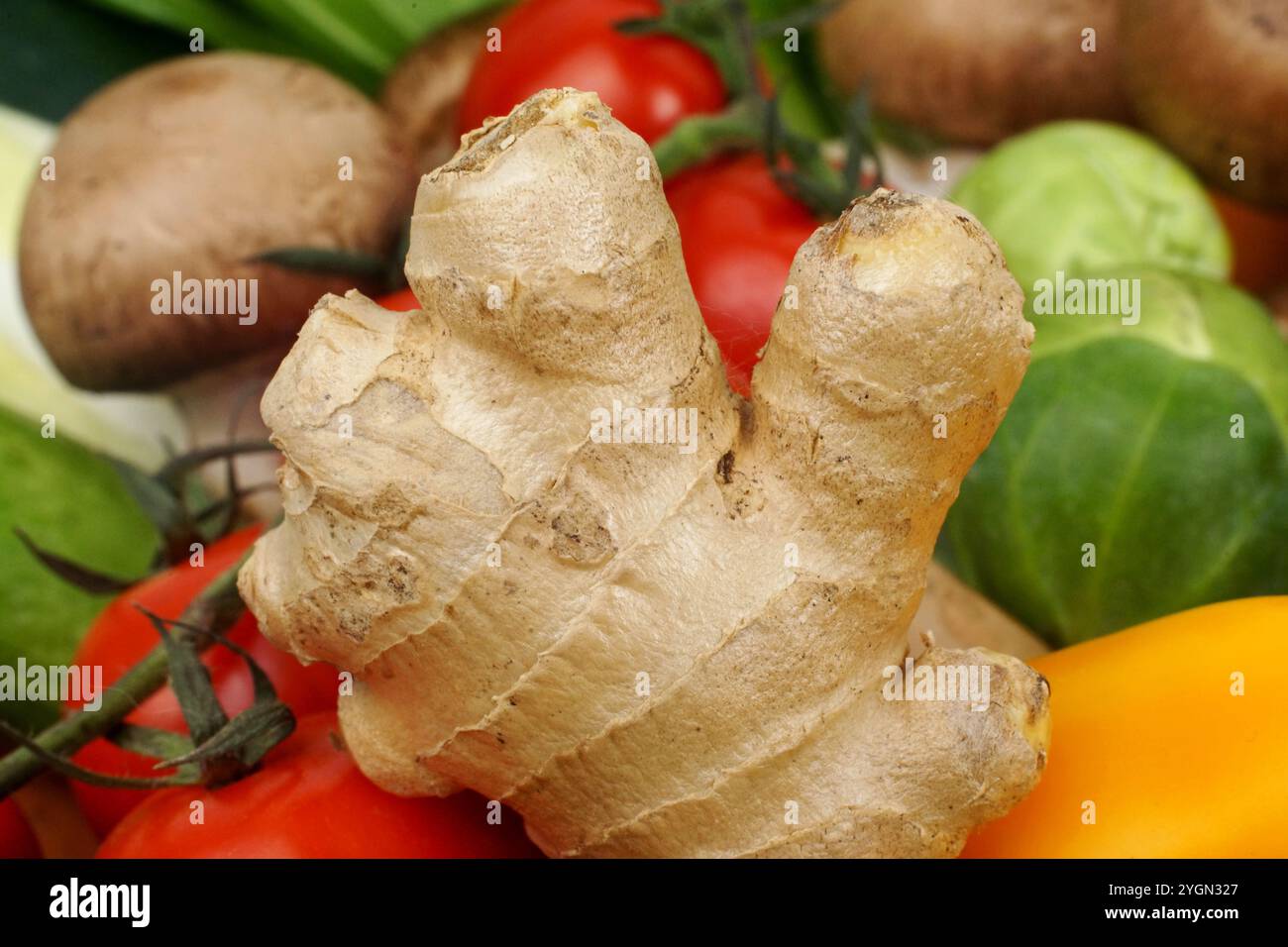 Super closeup of a ginger piece showing its beige texture and structure ...