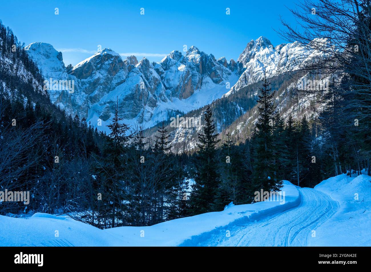 Julian Alps immersed in snow. Riofreddo Valley, wild and magical Stock ...
