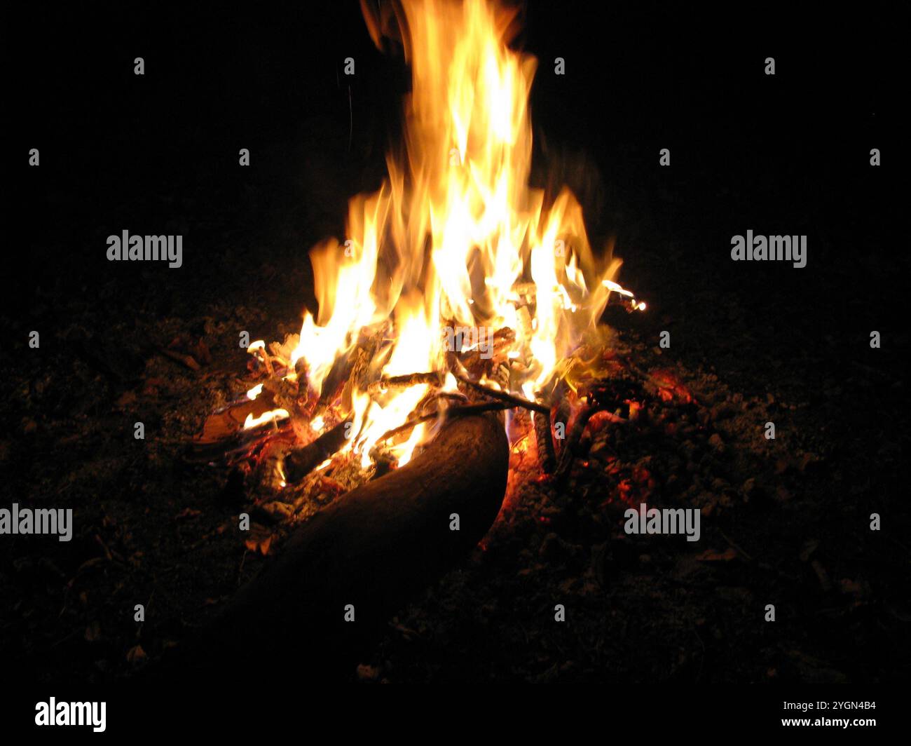 Bonfire in the night. Bright fire Stock Photo - Alamy