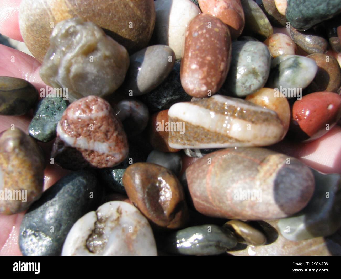 Wet round stones pebbles hi-res stock photography and images - Alamy