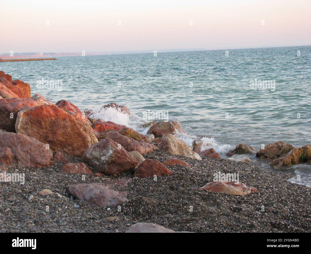 Sea shells on the beach Stock Photo - Alamy