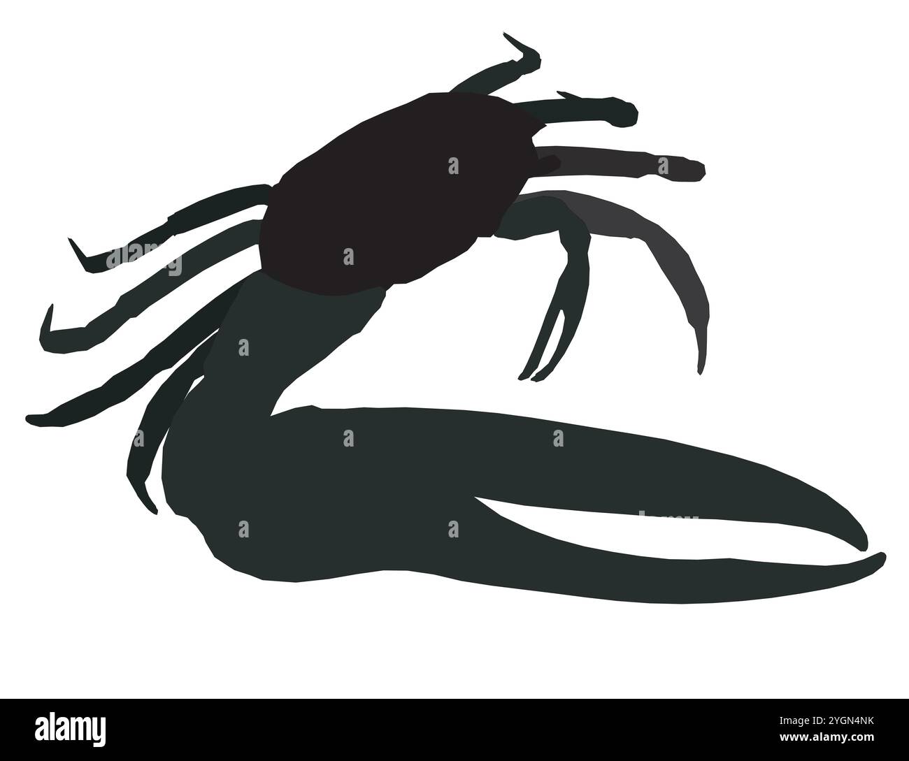 Crab vector art, graphics crabs icon, vintage illustration crab clipart ...