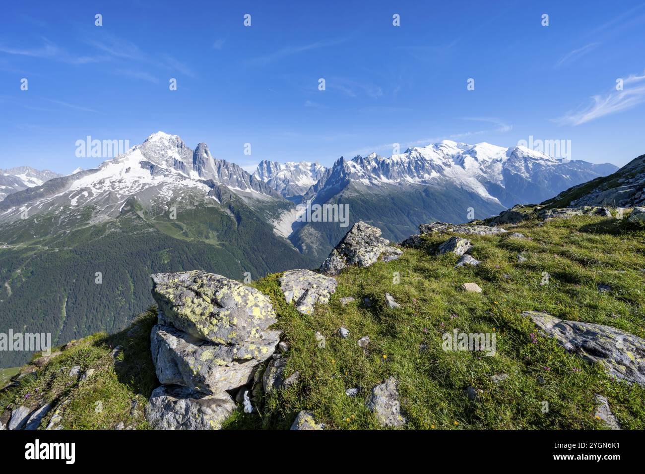 Mountain meadow and mountain panorama, mountain peaks Aiguille Verte, Grandes Jorasses and Mont ...