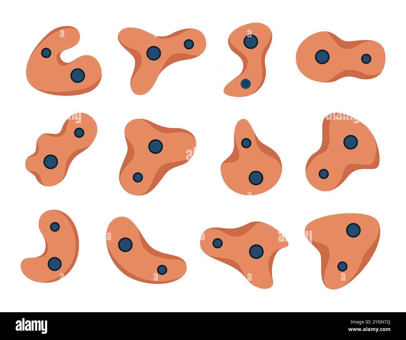 Climbing grips set. Climbing wall, climbing, bouldering, bouldering ...