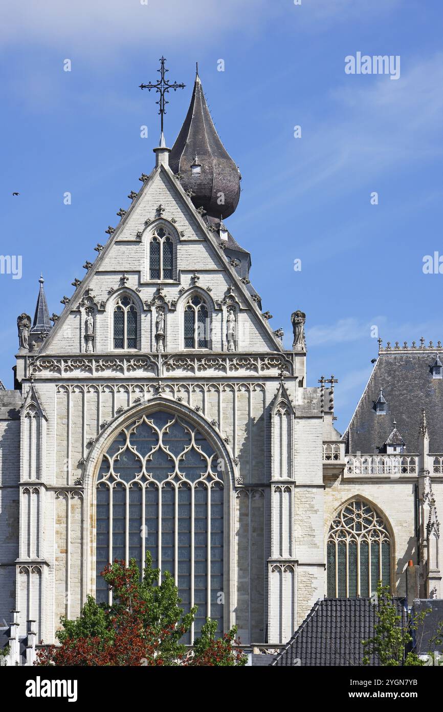 Cathedral of Our Lady, Onze-Lieve-Vrouwekathedraal, nave, side view via ...