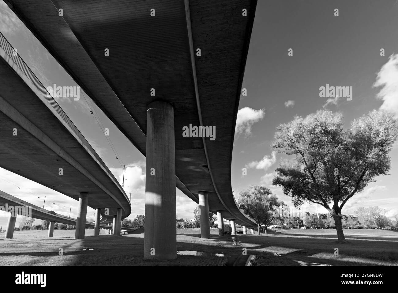 Curved ramp bridges, approach to the Rheinknie Bridge, cable-stayed ...