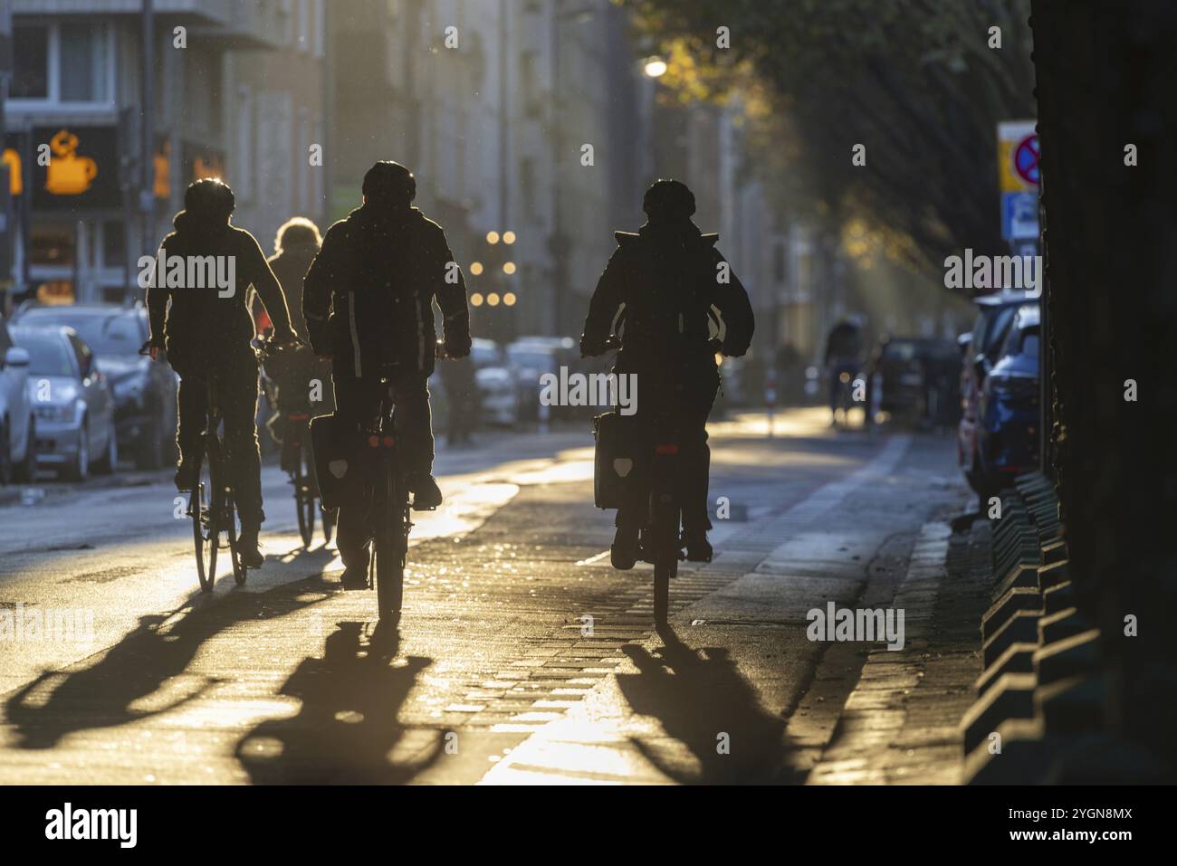 Cyclists in oblique sunlight in November, poor visibility, danger of ...