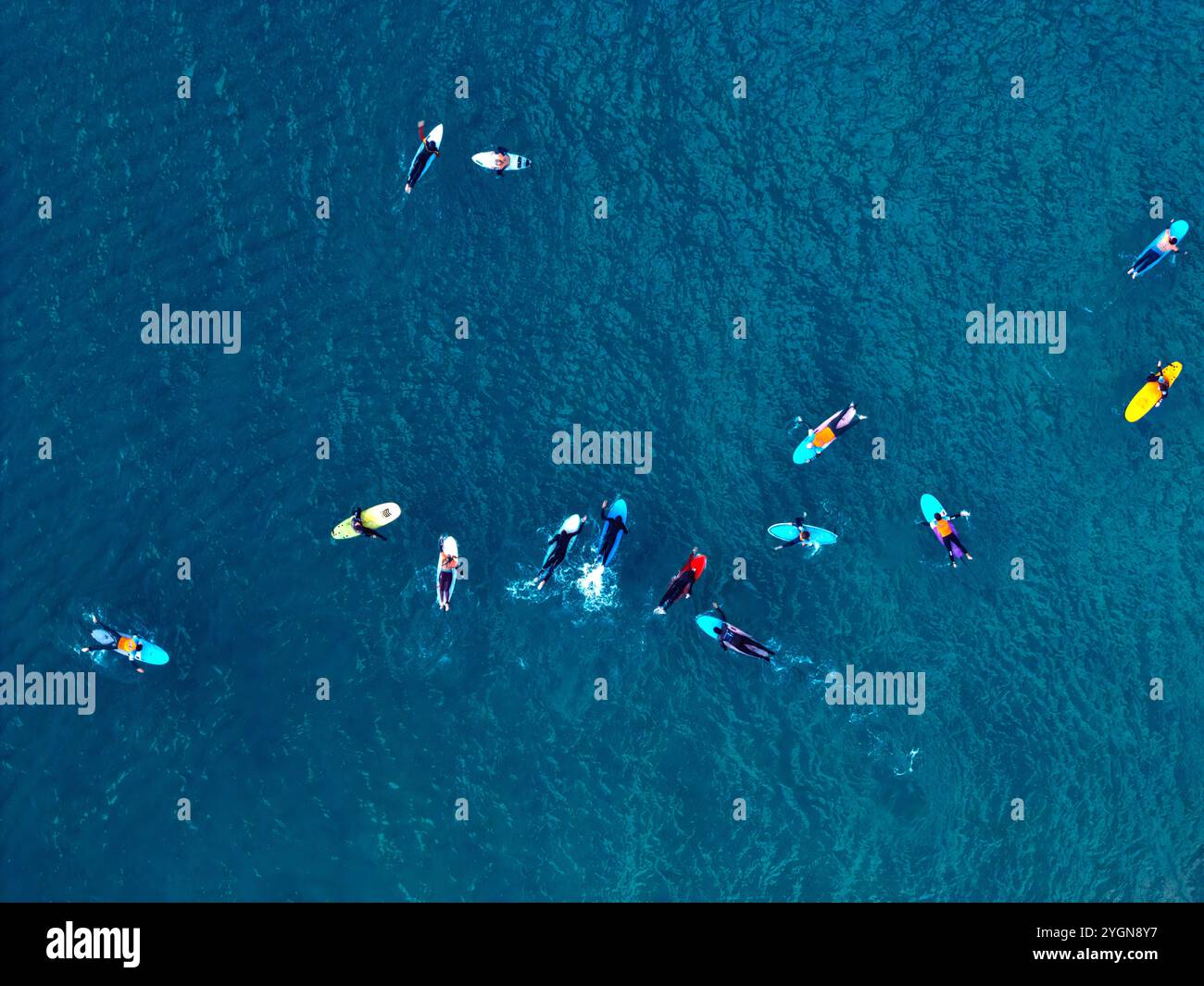 A group of surfers, both beginners and experts, ride waves and practice ...