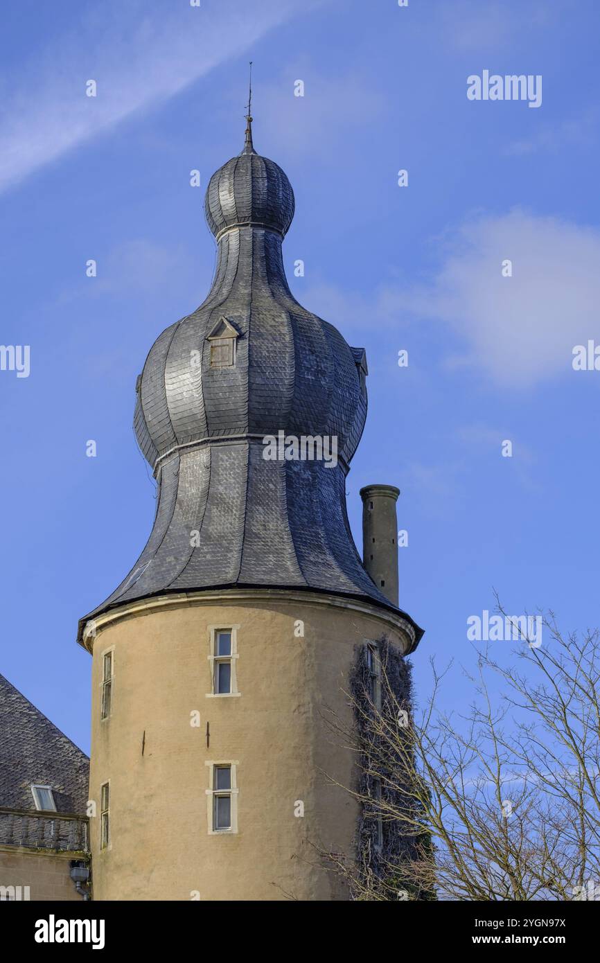 A striking castle tower with an onion-shaped roof under a clear sky ...