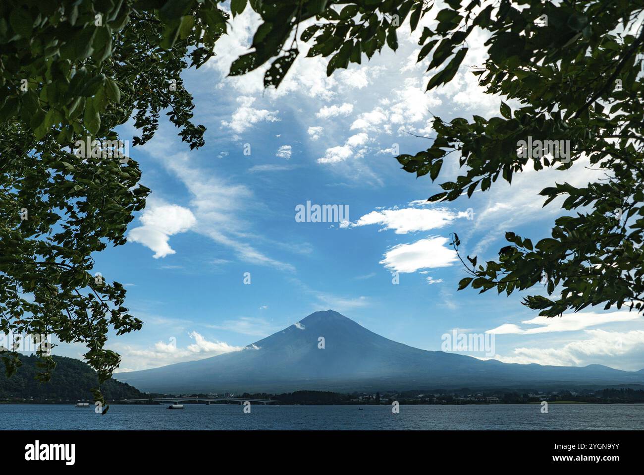 The 3776 metre high volcano Fuji framed by leaves is the highest ...