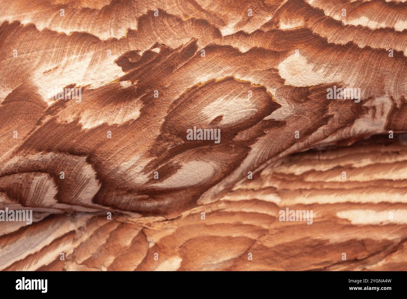 Different colored rock layers hi-res stock photography and images - Alamy