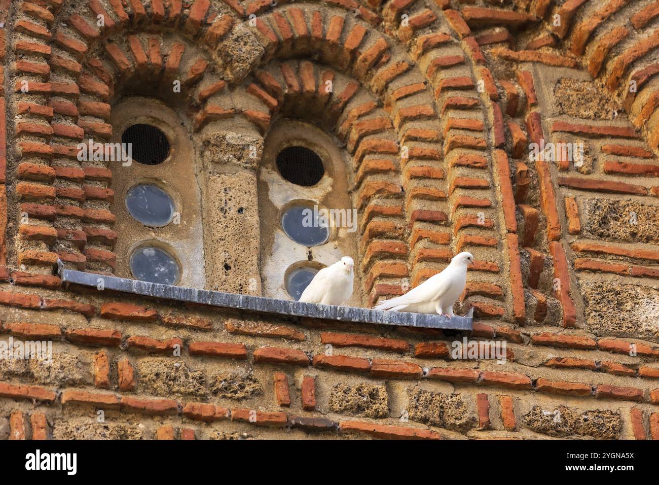 Two white doves, pigeons bird near window, Church Saint John Kaneo ...