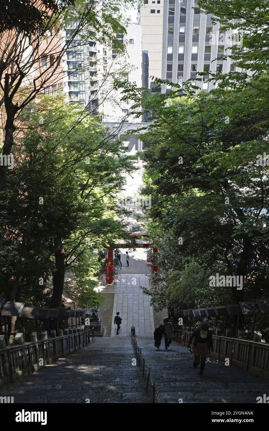 Shinto shrine in tokyo hi-res stock photography and images - Alamy