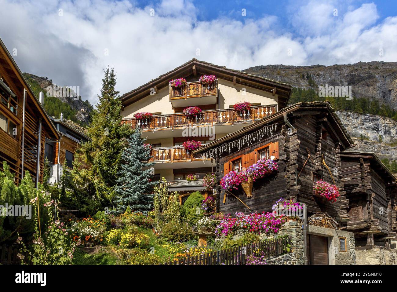 Traditional wooden alpine chalet with geranium flowers on the window in summer, Zermatt alpine ...