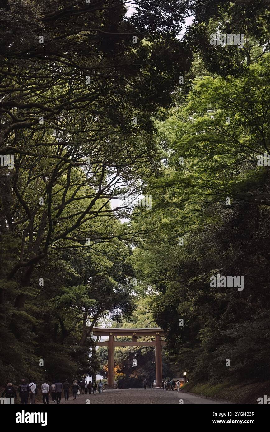 Tourists walk through the Meiji Shrine to the great Tor tor. The Meiji ...
