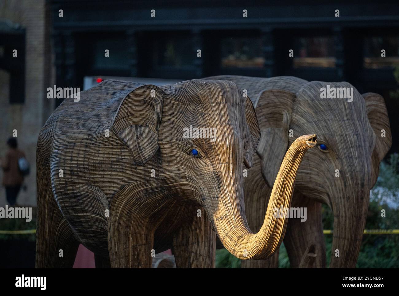 New York, USA. 23rd Oct, 2024. Life-size elephants made from the plant ...