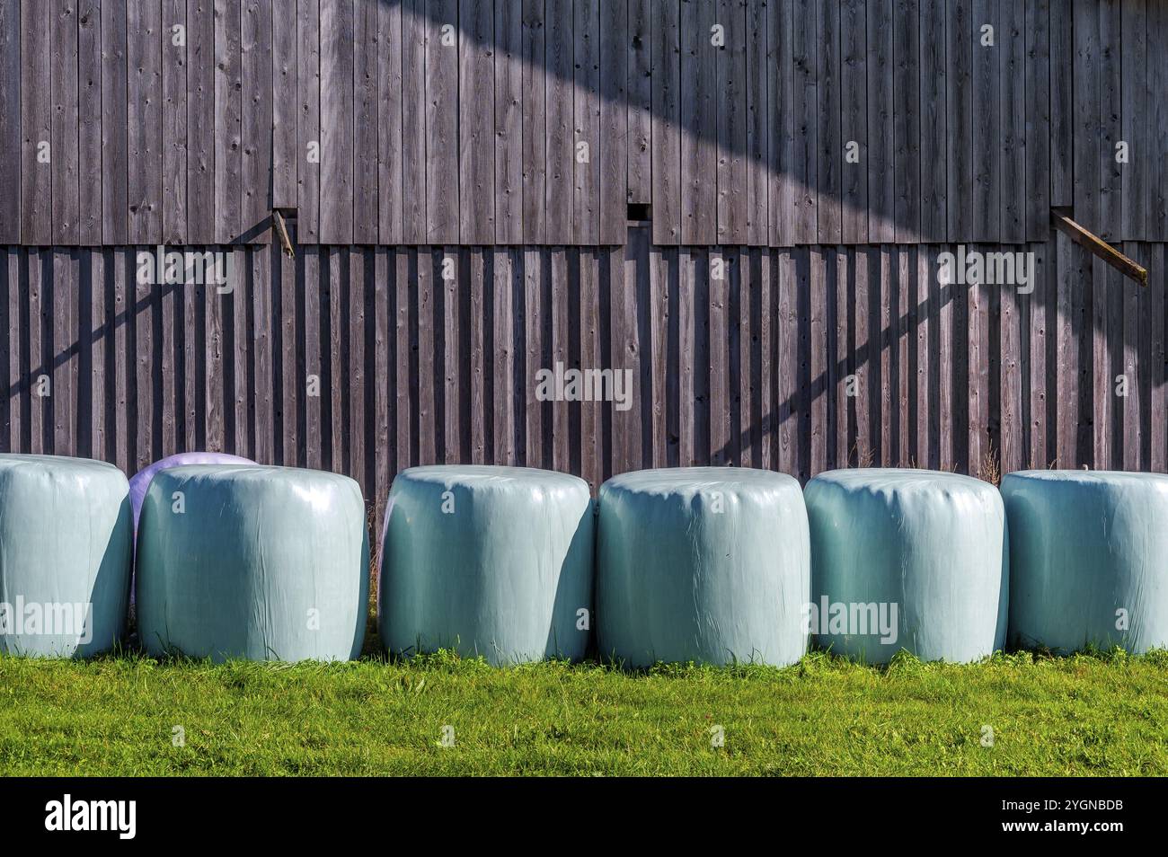 German barn hi-res stock photography and images - Alamy