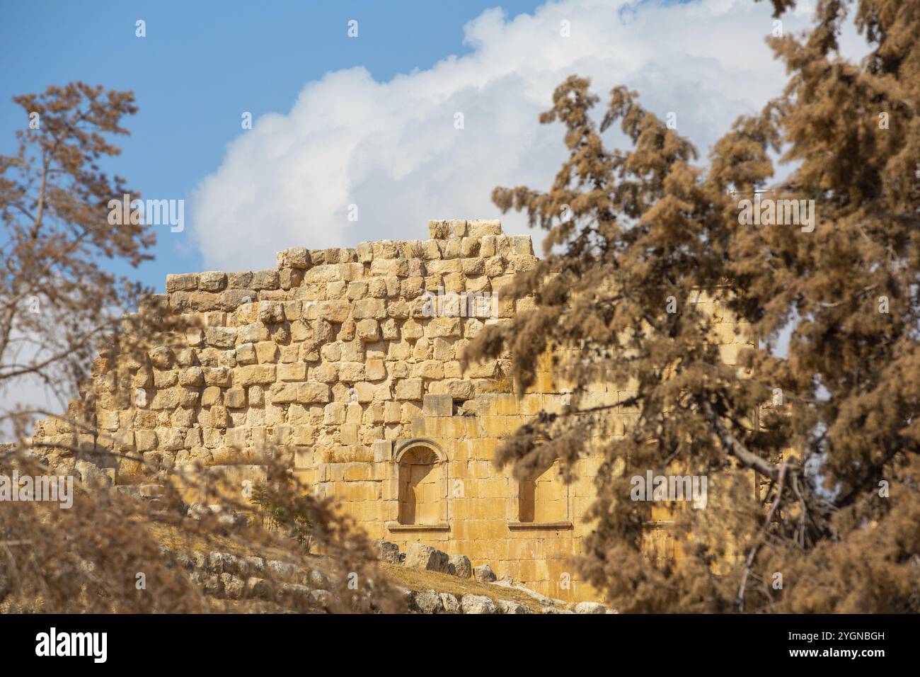 Jerash Gerasa, Jordan, ancient roman ruins and wall, Asia Stock Photo ...