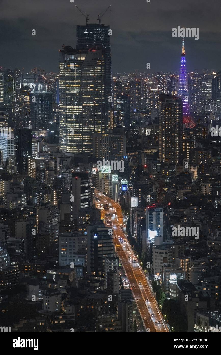 Night shot of Tokyo with Tokyo Tower and Shuto Expressway city motorway ...