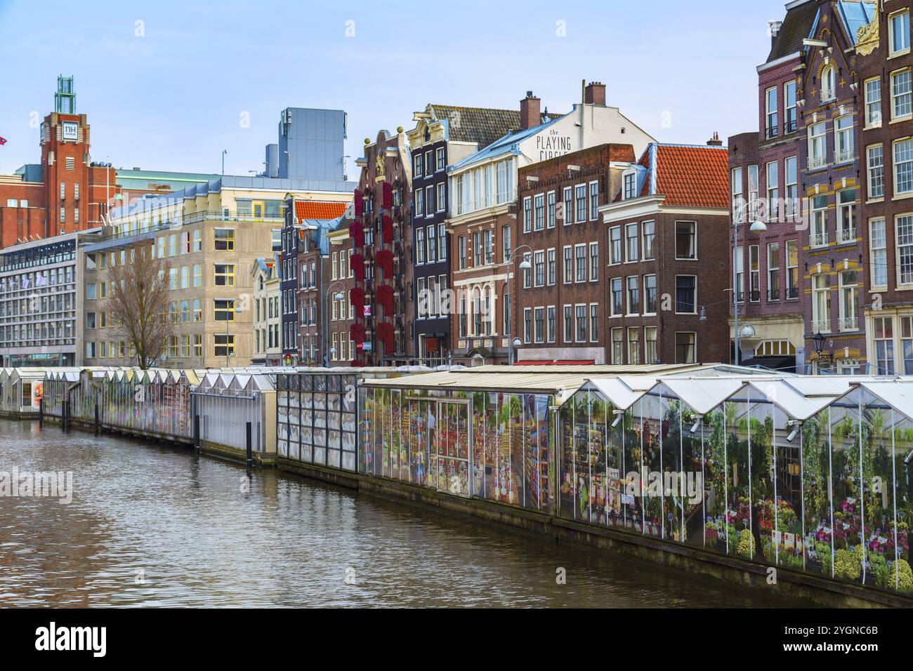 Amsterdam, Netherlands, March 31, 2016: Flower market street view in ...