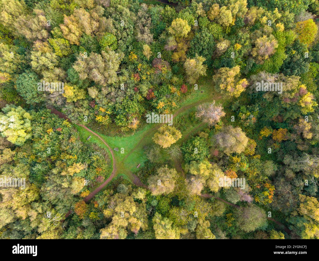 Aerial top view autumn trees hi-res stock photography and images - Alamy