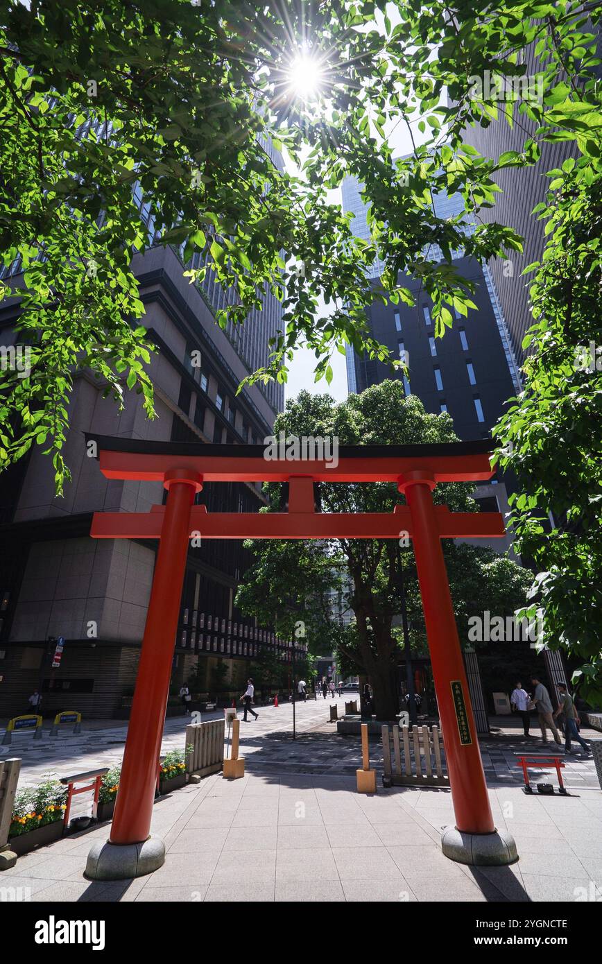 The sun shines through the canopy of leaves above the entrance to Fukutoku Shinto Shrine. The ...
